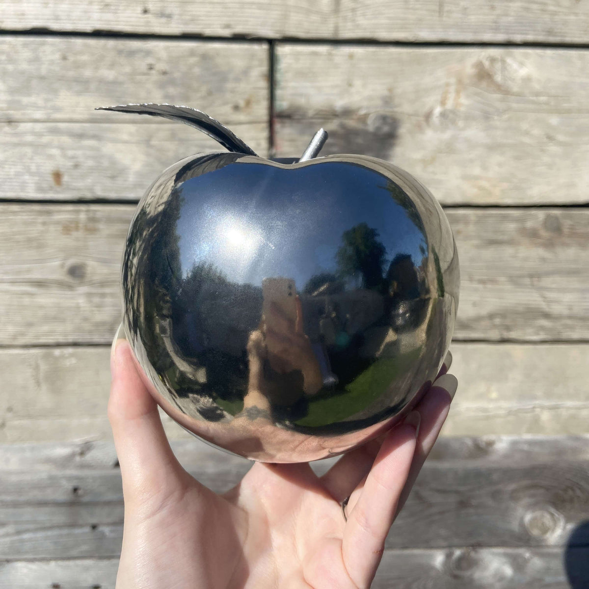 MIRROR - the world’s mirroriest mirror chrome paint – Culture Hustle USA